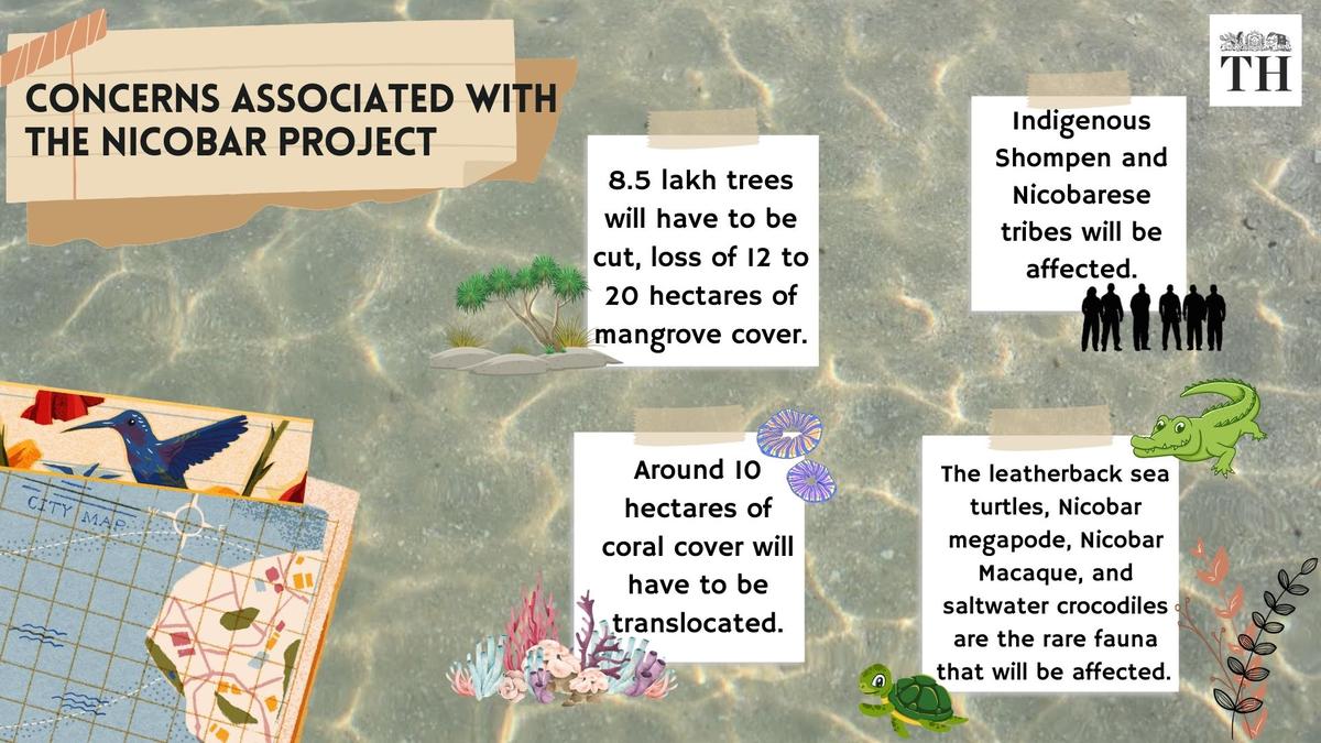 Great Nicobar project gets in-principle clearance for diversion of 130 sq km of forest - The Hindu